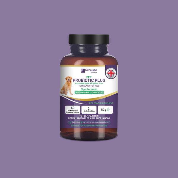 Probiotic Tablets For Dogs 60 Chicken Flavour Chewable Tablets